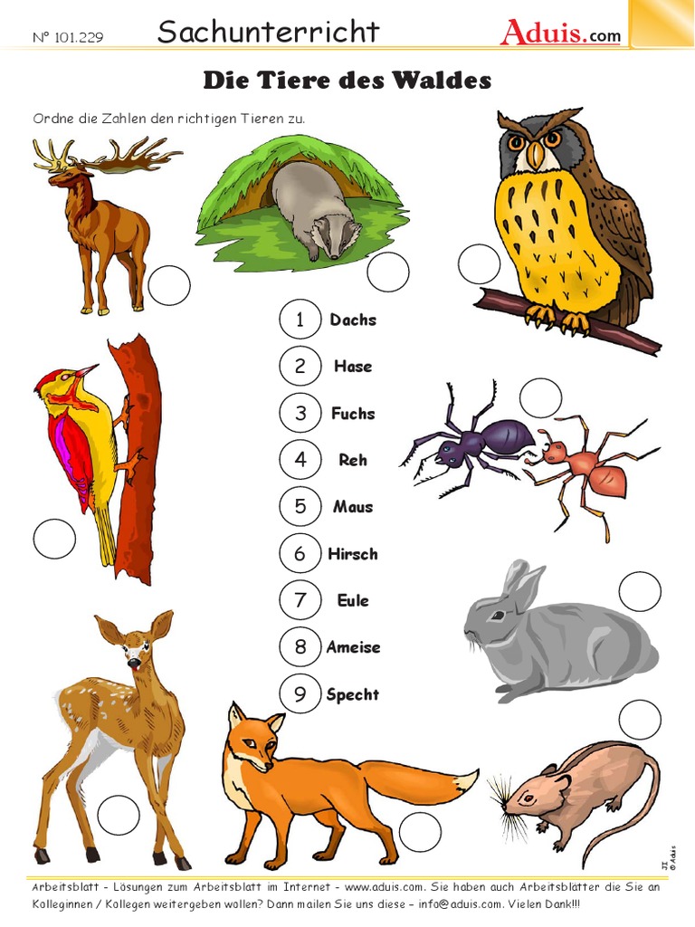 Fise de Lucru Limba Germana Pentru Copii | PDF