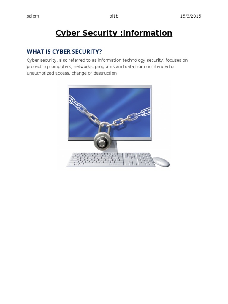 Cyber Security Basics Explained | PDF