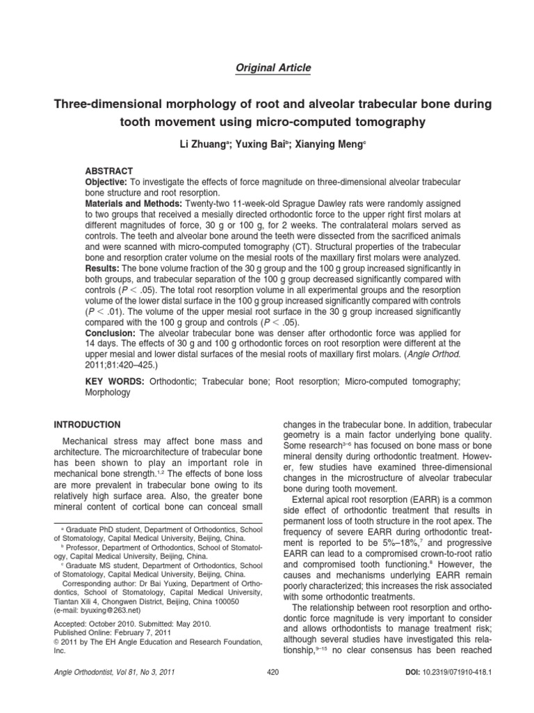 Li Zhu | Download Free PDF | Bone | Human Tooth