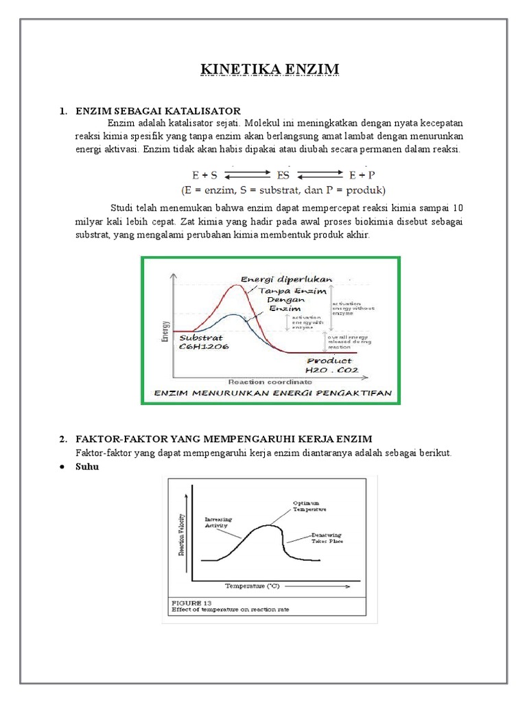 Ringkasan Kinetika Enzim | PDF | Metode & Bahan Ajar