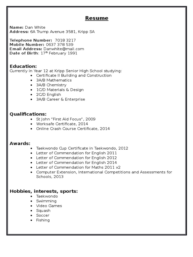 Fake Resume | PDF