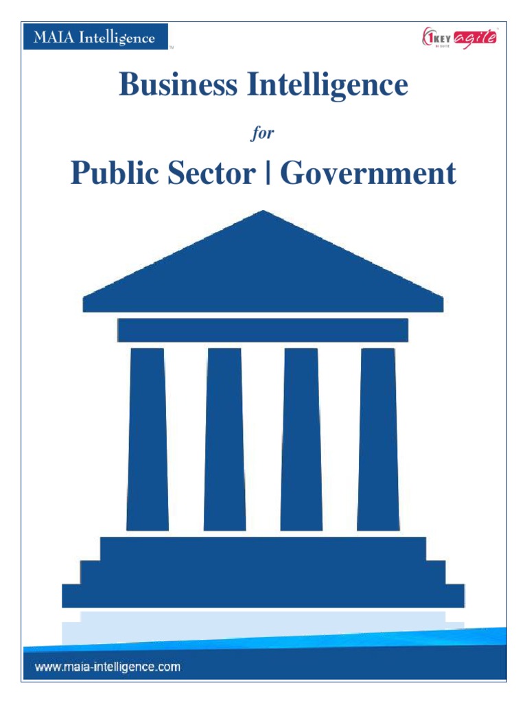 1KEY Agile BI Suite For Public Sector Government | PDF | Business Intelligence | Business