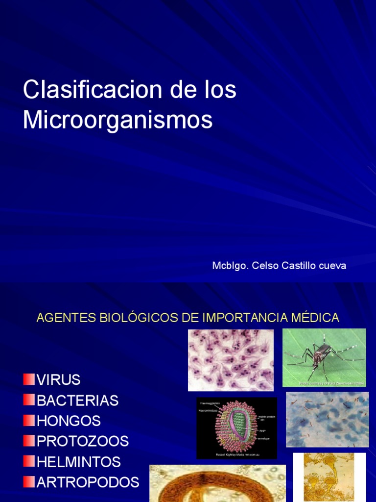 Agentes Infecciosos de Importancia Medica | Virus | Las bacterias