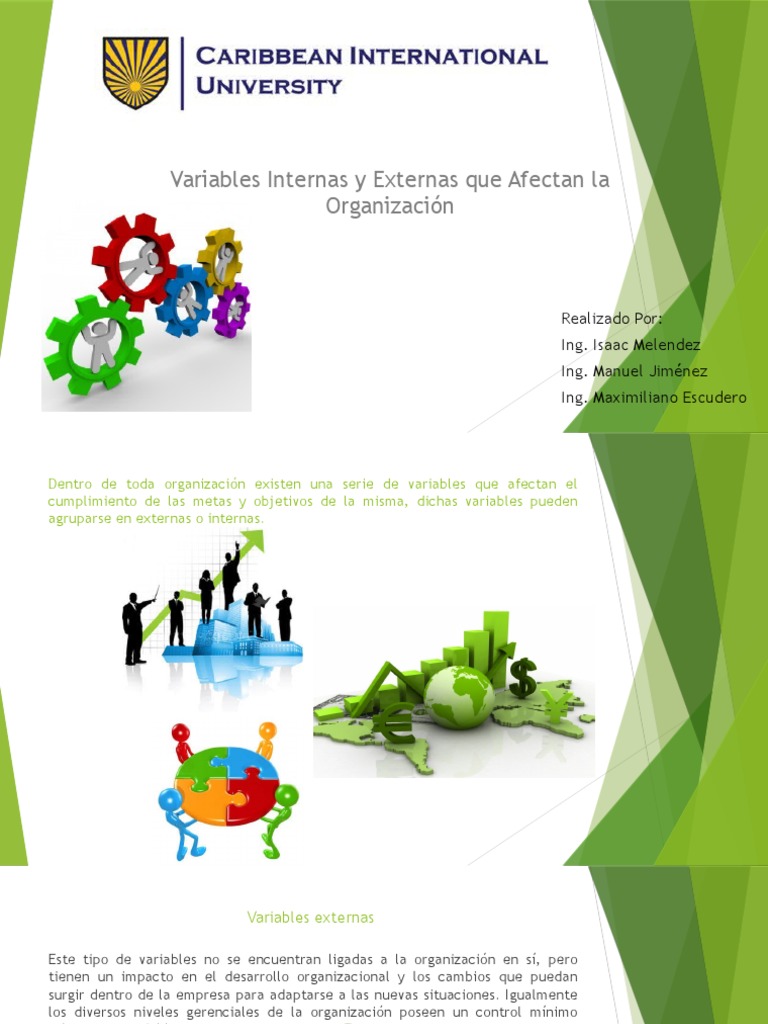 Variables Internas y Externas Que Afectan La Organización | PDF