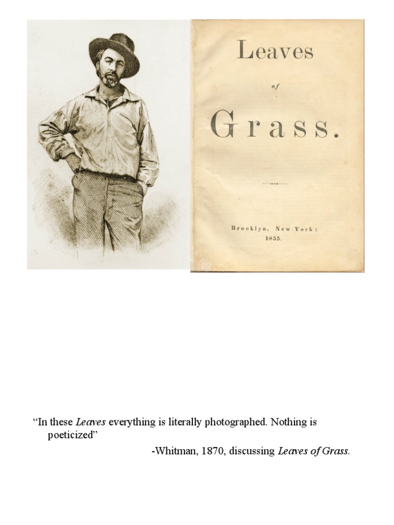 Whitman's Photographic Vision in Poetry | PDF | Leaves Of Grass | Imaging