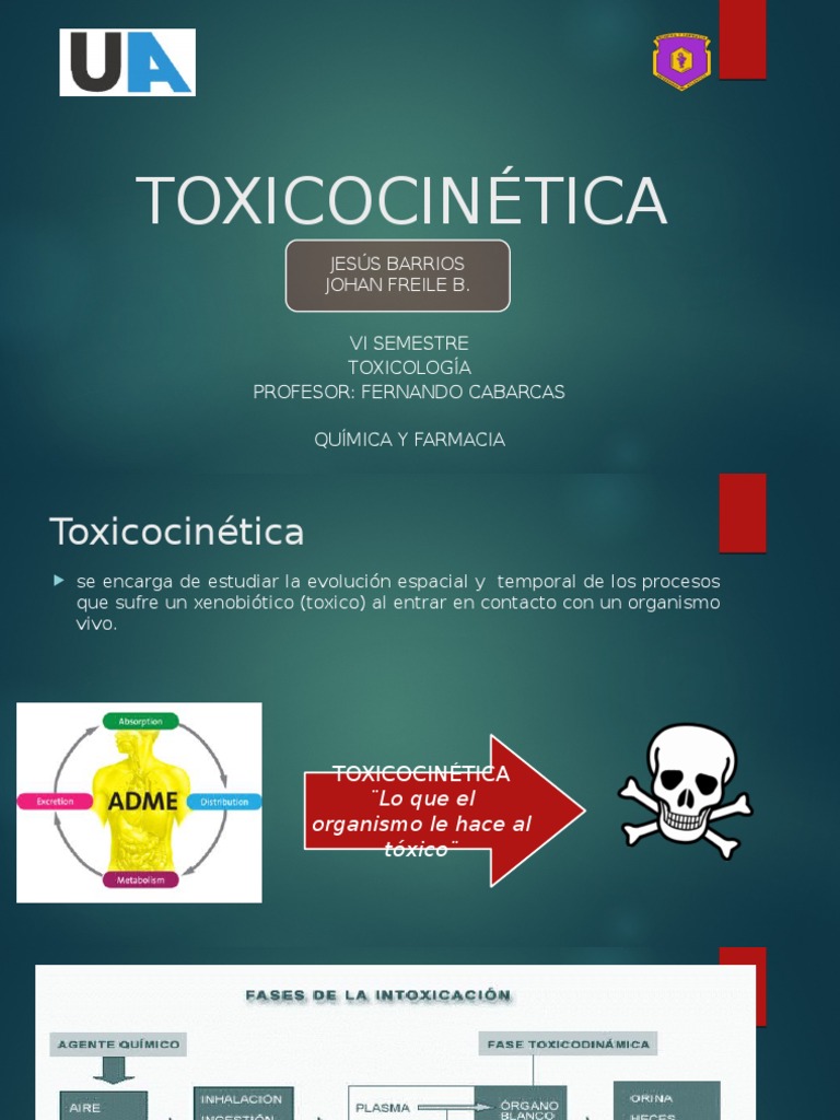 TOXICOCINETICA | PDF | Piel | Membrana celular