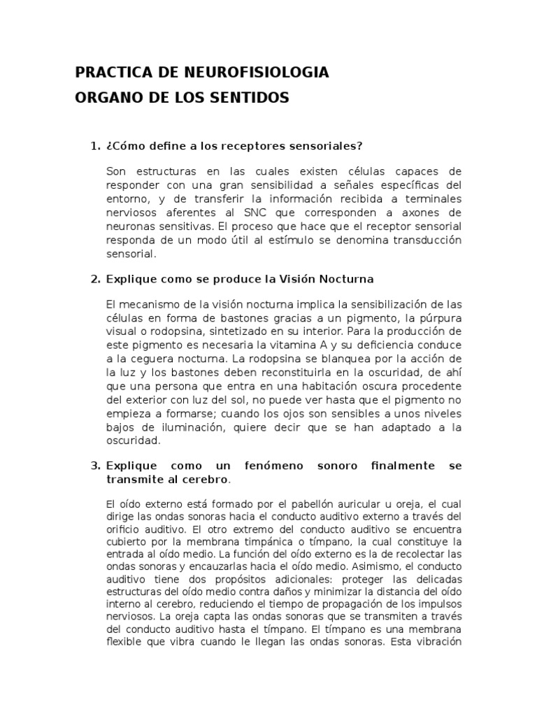 Practica de Neurofisiologia | PDF | Escuchando | Percepción visual