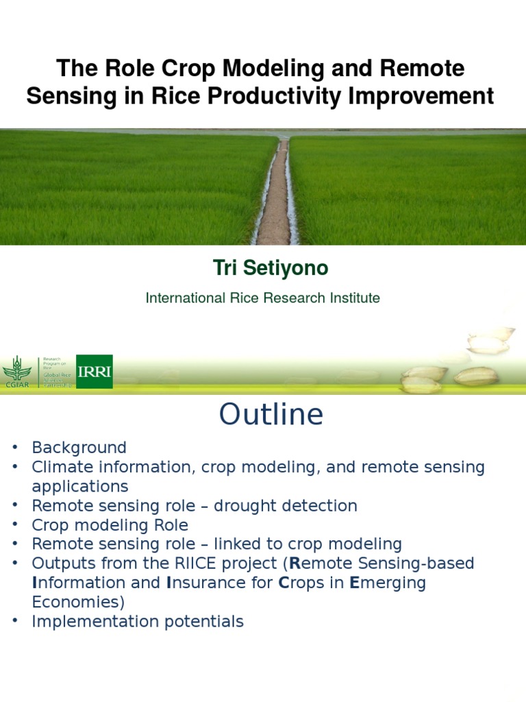 The Role of Crop Modeling and Remote Sensing in Rice Productivity ...