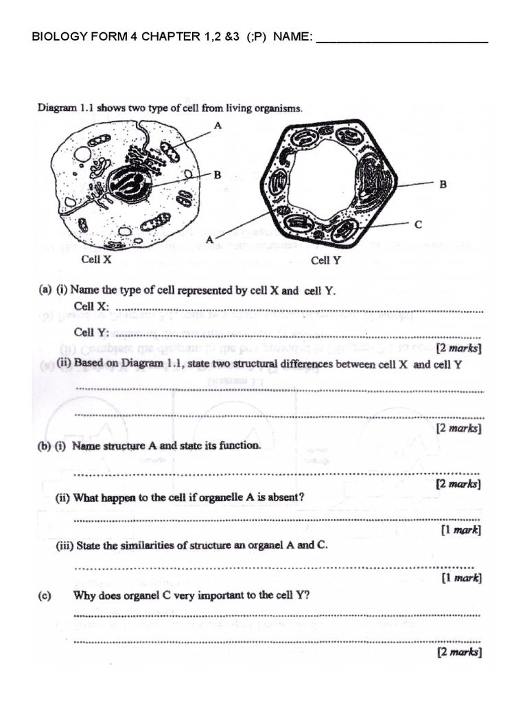 Test Biology Form 4 Chapter 123 | PDF