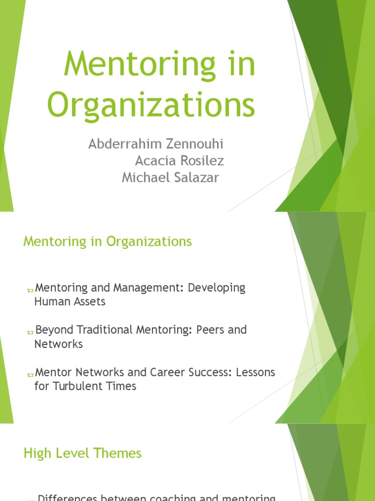 Mentoring in Organizations SLIDES | Mentorship | Organizational Behavior