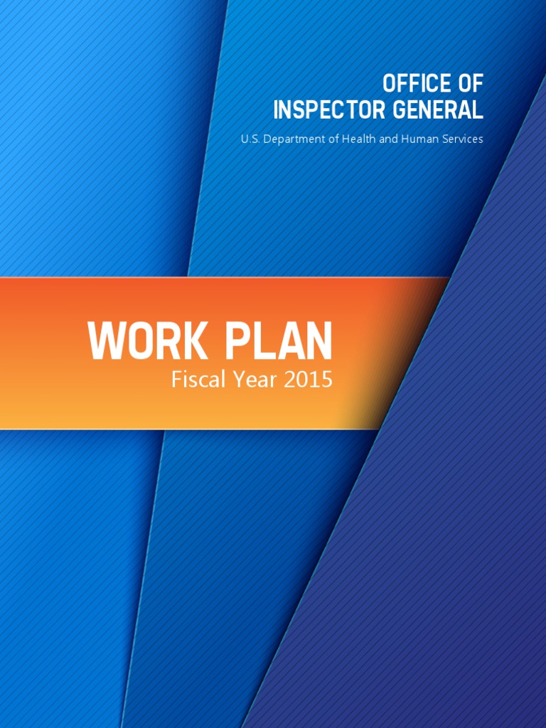 Work Plan: Office of Inspector General | PDF