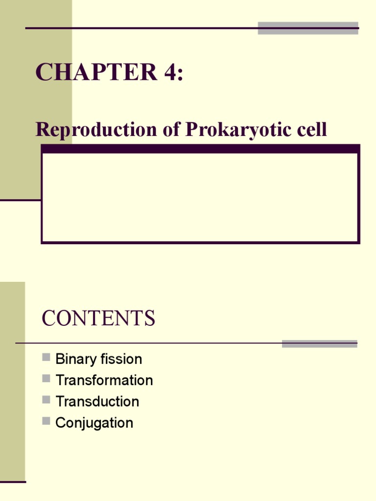 Reproduction of Prokaryotic Cell | PDF | Mitosis | Cell Nucleus