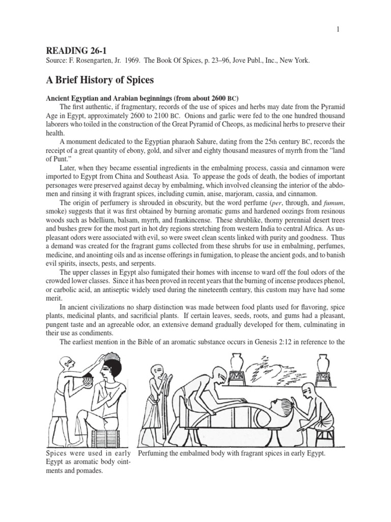History of Spices | PDF | Cinnamon | Spice