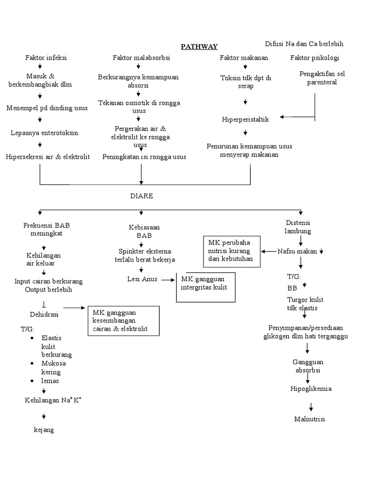Patway Diare | PDF