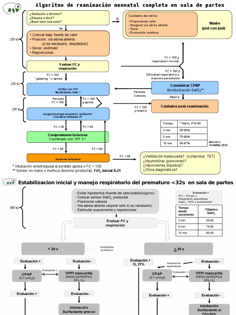 Algoritmo de Reanimación Neonatal 2025 | PDF