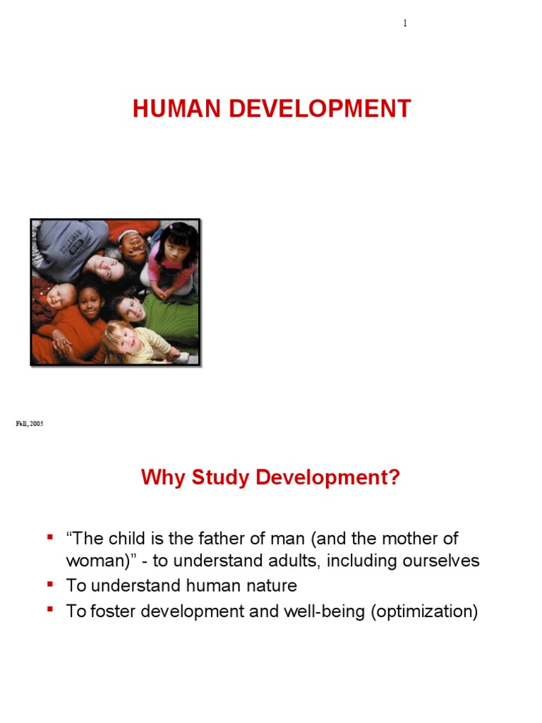 Understanding Human Development: A Comprehensive Overview of Physical ...