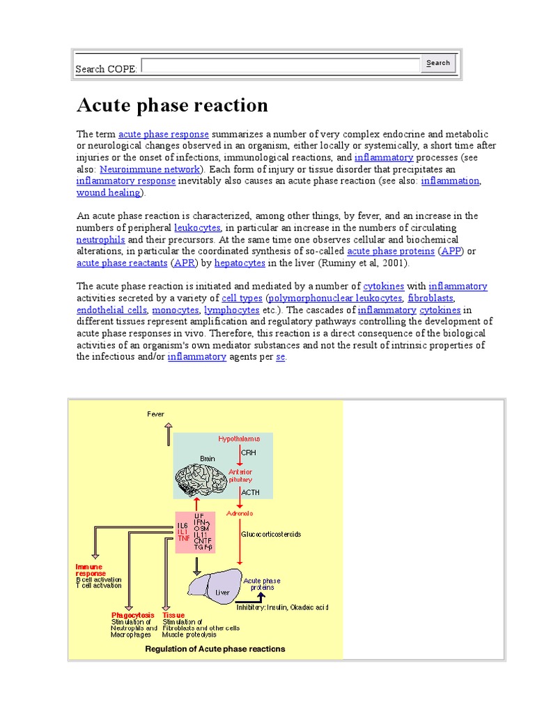 Acute Phase Reaction | Interleukin 6 | Inflammation