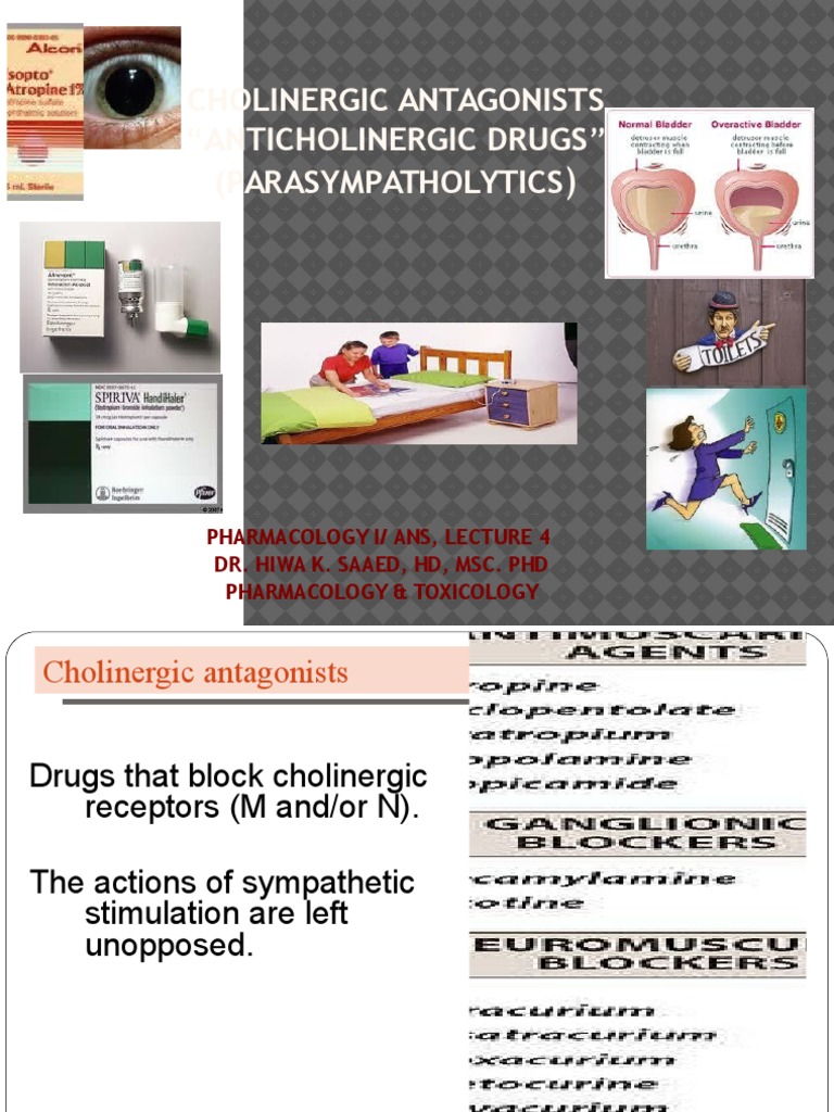 Cholinergic Antagonists | Acetylcholine | Neuromuscular Junction
