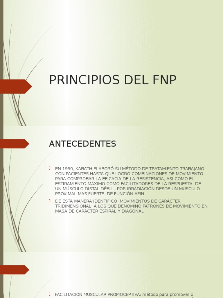Principios Del FNP | PDF