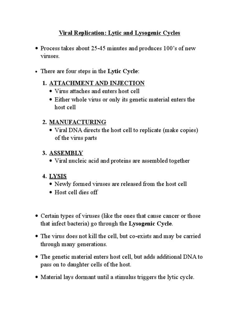 Lytic and Lysogenic Viral Cycles Explained | PDF