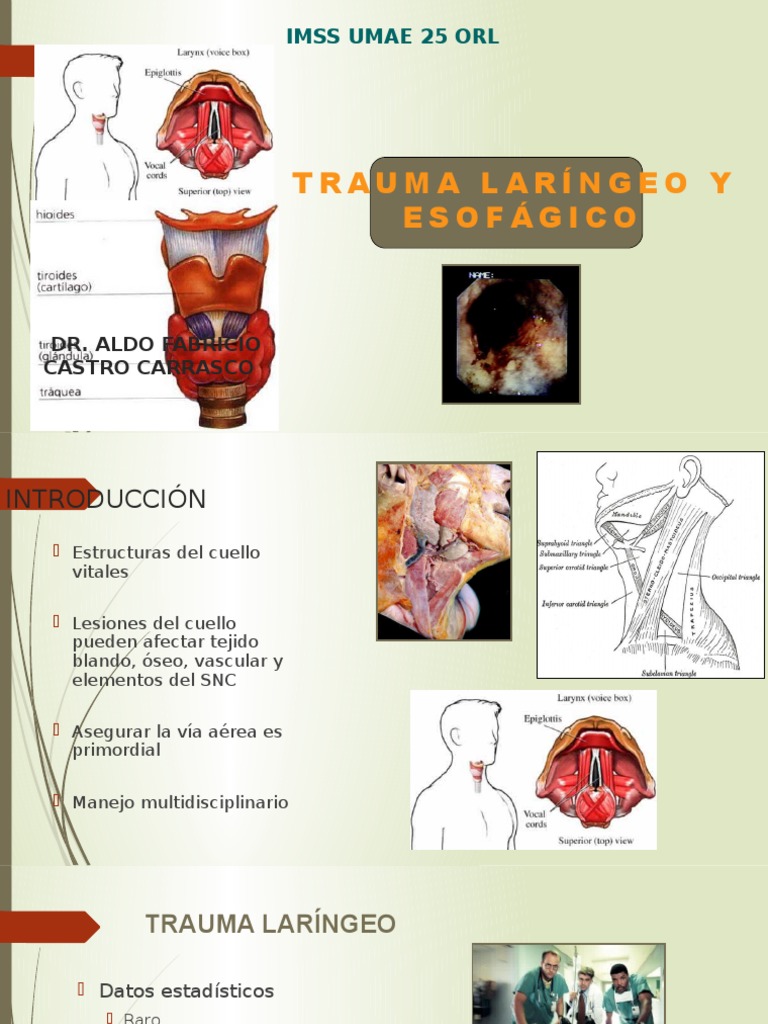 Trauma Laríngeo y Esofágico: Diagnóstico y Manejo | PDF | Lesión | Herida
