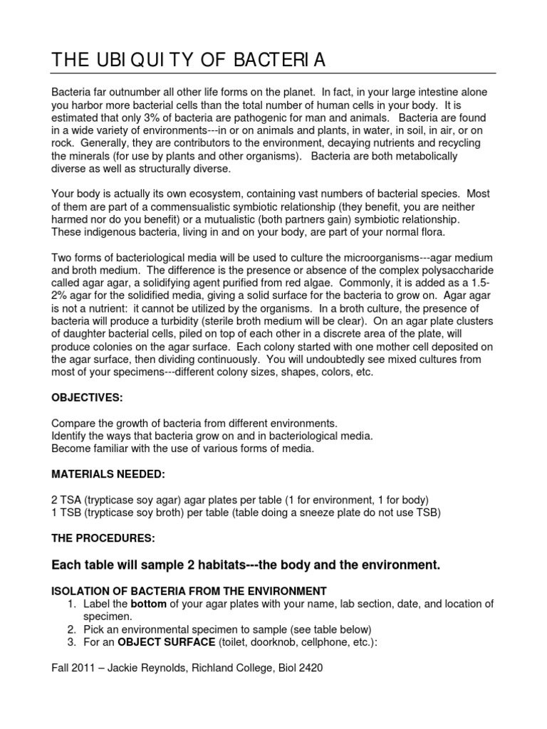 Bacteria Ubiquity | PDF | Growth Medium | Bacteria