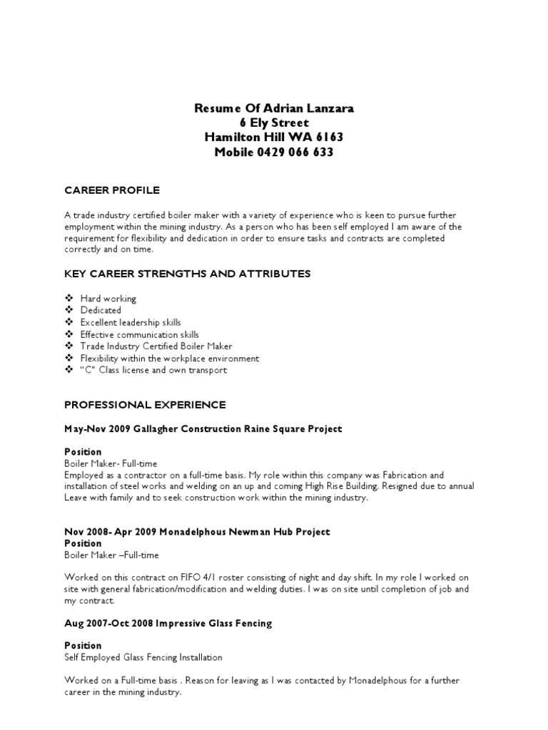 Resume - Adrian Lanzara | PDF | Engineering | Business