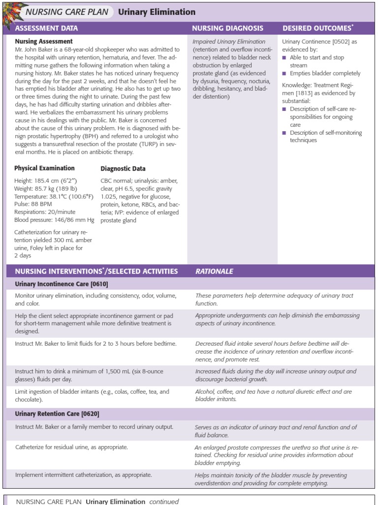 Nursing Care Plan Urinary Incontinence Urinary System