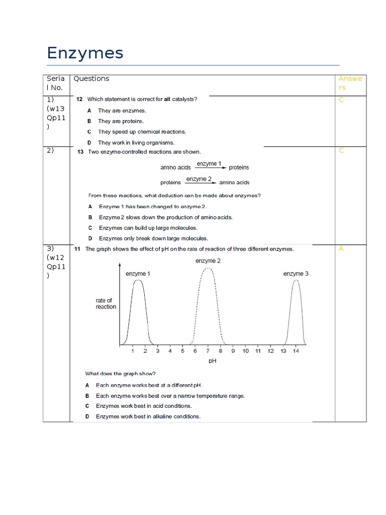 Enzyme Quiz Answers and Key | PDF