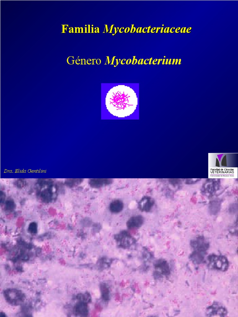 Mycobacterium Bovis
