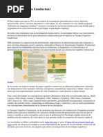 Test Developmental Profile 3 Perfil de Desarrollo dp3 | PDF ...