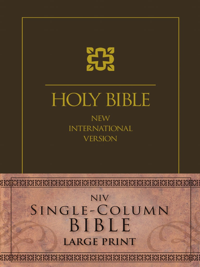 NIV Single Column Bible Overview | PDF | John The Baptist | Christianity