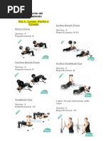 Rutina PPL X Arnold | PDF | Entrenamiento de fuerza | Aficiones