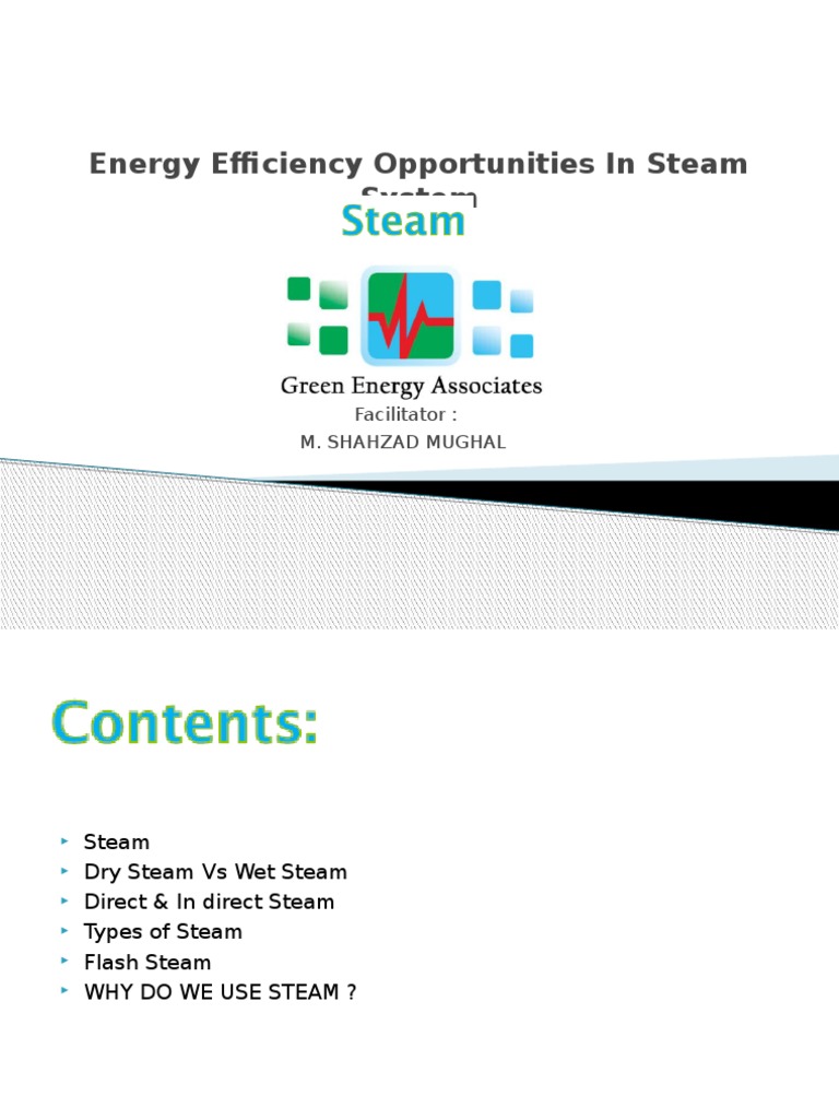 Energy Efficiency in Steam Systems | PDF