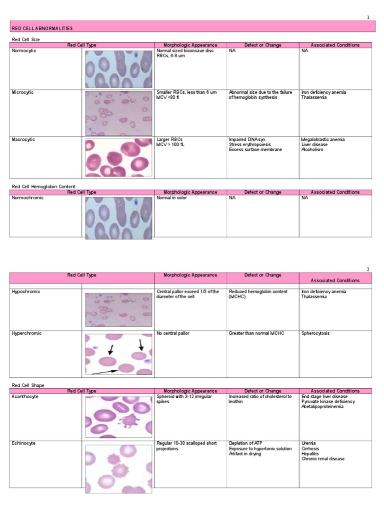 RBC&WBC Abnormalities | PDF | Red Blood Cell | Anemia