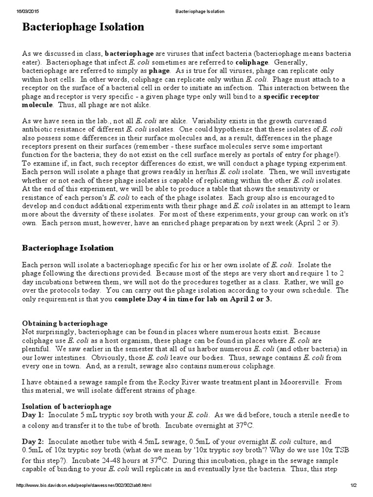 Isolation and Characterization of Bacteriophages Specific to Individual ...
