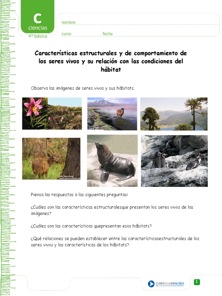 Características Estructurales y de Comportamiento de Los Seres Vivos y ...