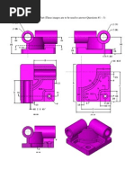 CSWA Exam Practice Questions | Test (Assessment) | Nature
