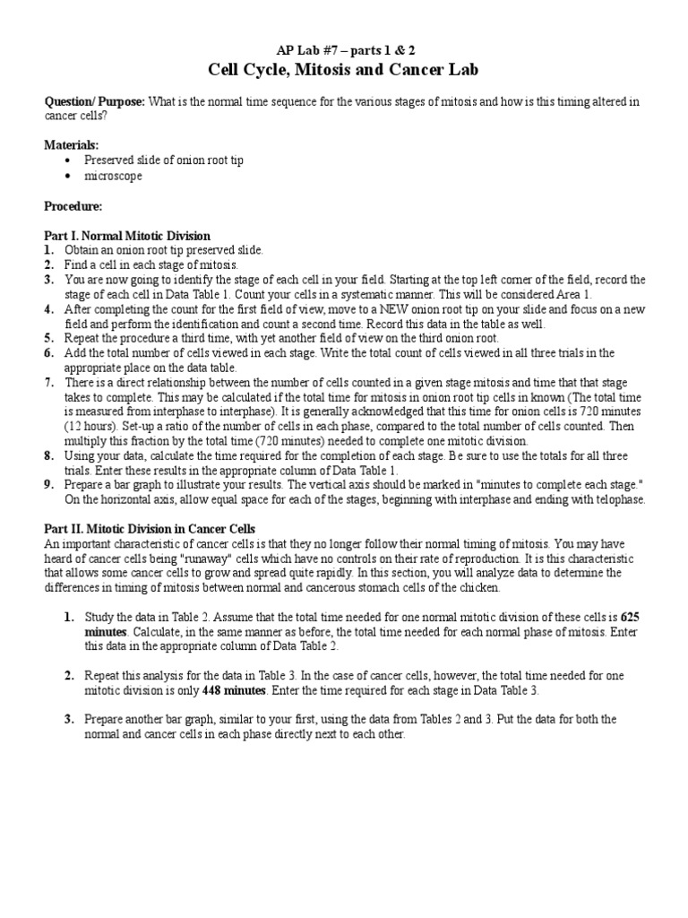 Mitosis and Cancer Lab | PDF | Mitosis | Cell Cycle