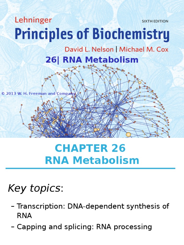 ch26 - RNA Metabolism | PDF | Rna | Rna Splicing