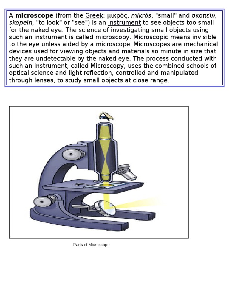 Types of Microscopes & Their Uses Explained in 40 Words | PDF ...
