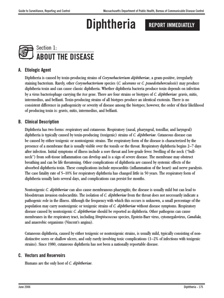 Diphtheria: About The Disease | PDF | Infection | Transmission (Medicine)