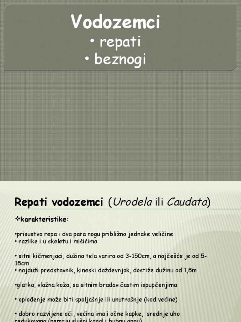 Vodozemci | PDF