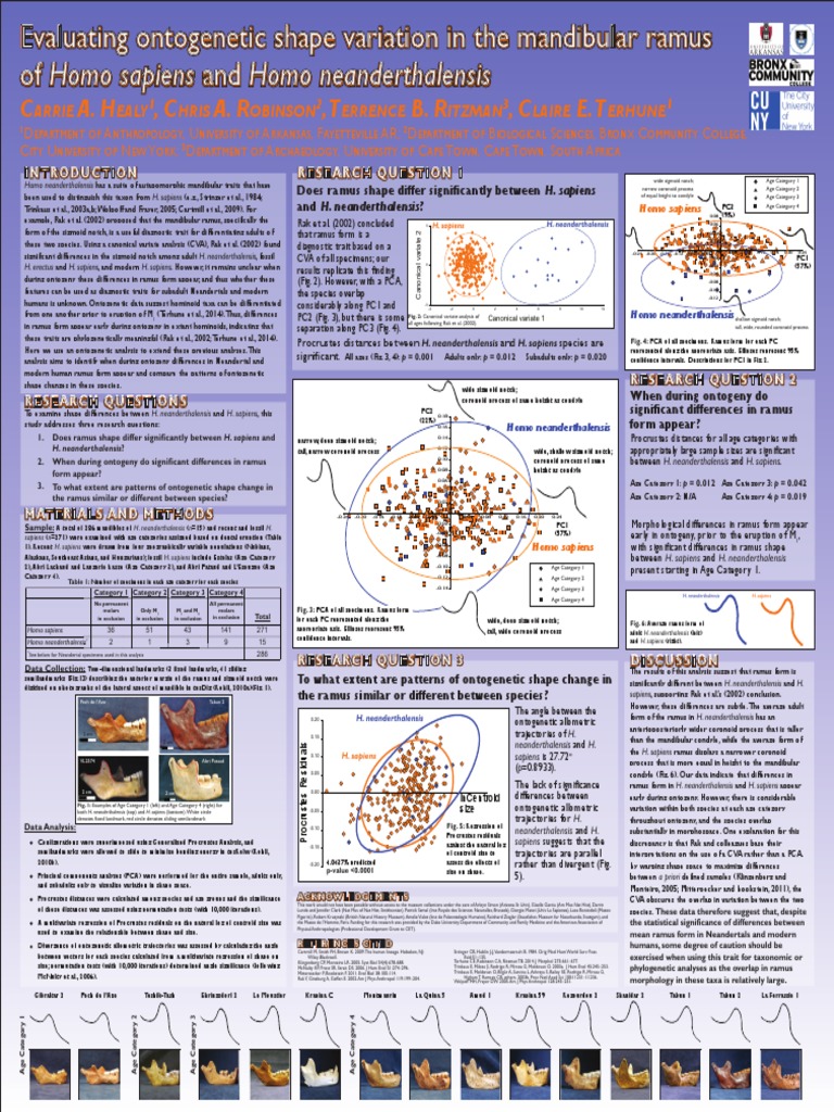 Healy Et Al. 2015 Ontogenetic Variation in Ramus Form in Neandertals ...