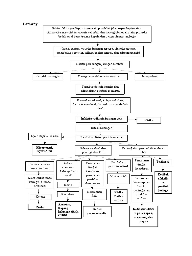 Pathway Meningitis