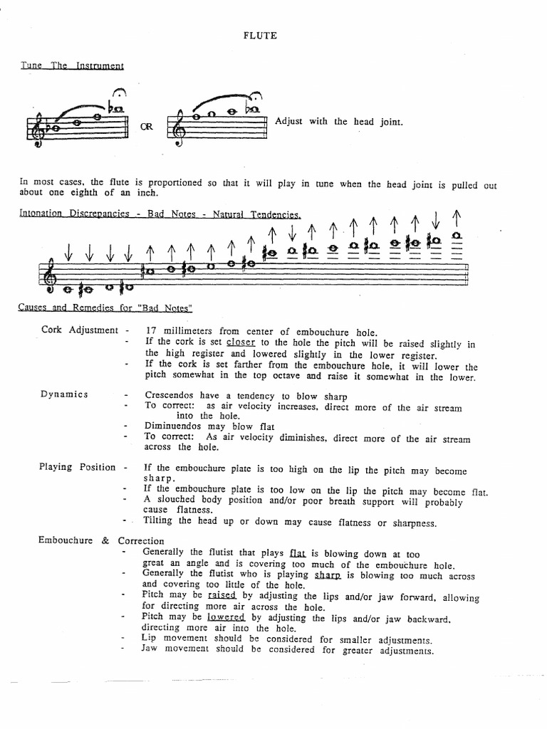 Flute Intonation | PDF