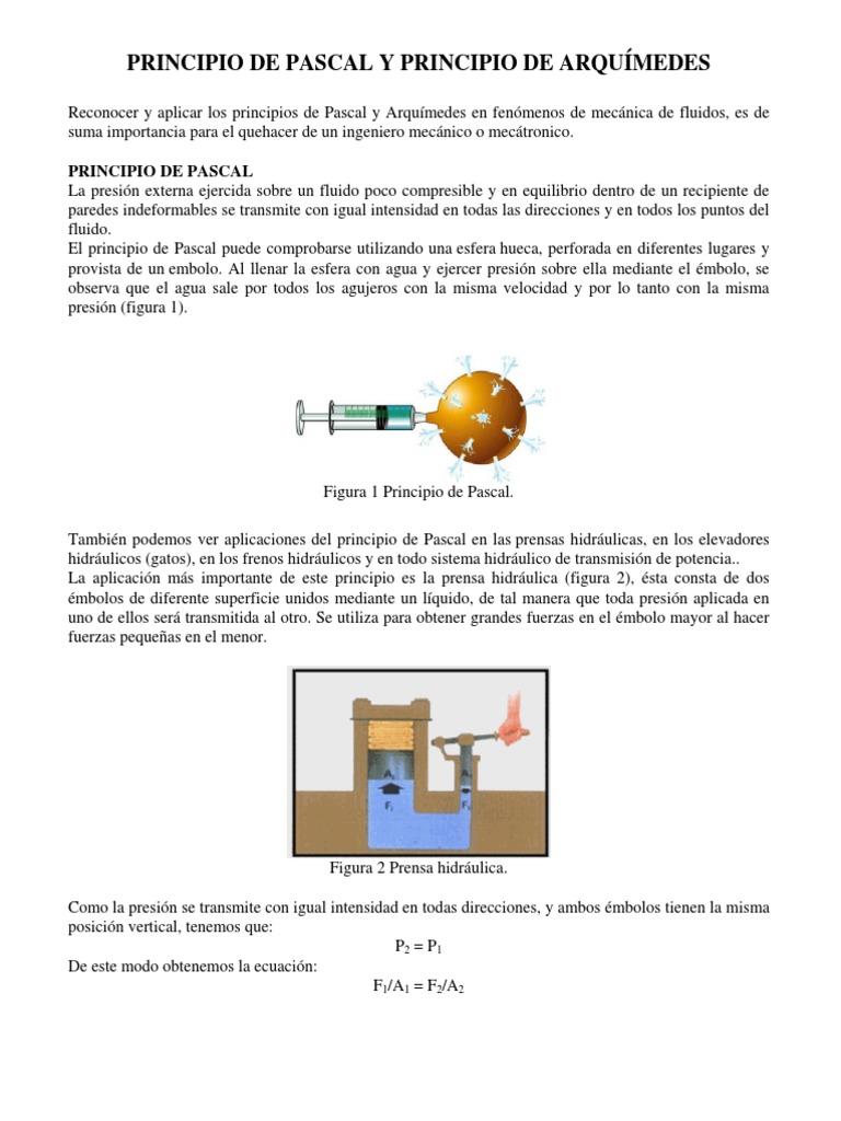 Principio de Pascal y de Arquímedes | PDF | Mecánica de Medios Continuos | Materia suave