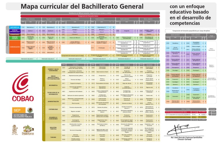 Mapa Curricular del Bachillerato | PDF | Turismo | Contabilidad