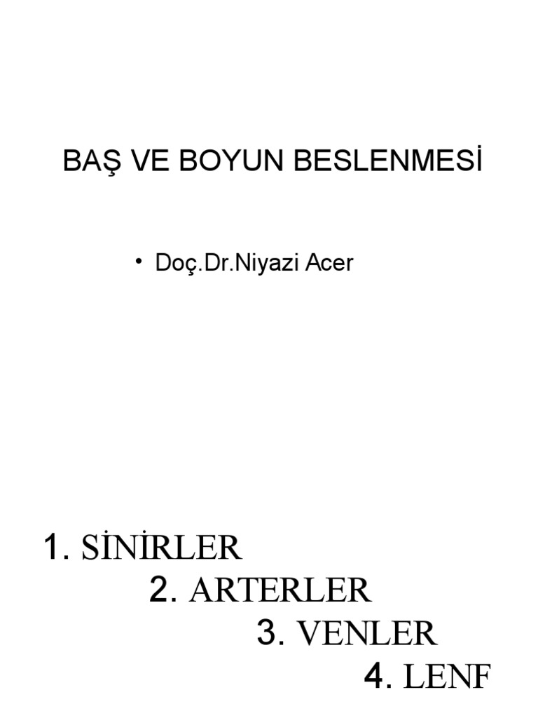 Son Eklenen Baş Boyun Arter Ven Ve Sinirleri | PDF
