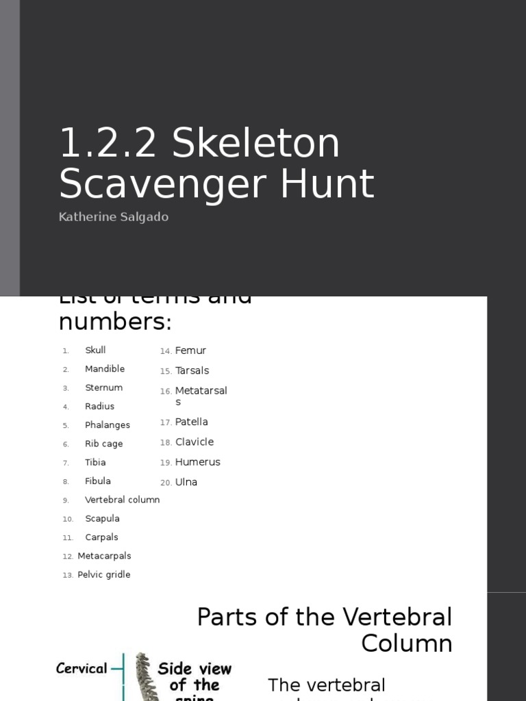 Skeleton Scavenger Hunt | PDF